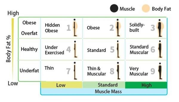 Physique Rating – Assess Your Body Composition | Tanita